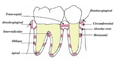 Presentation Name on emaze