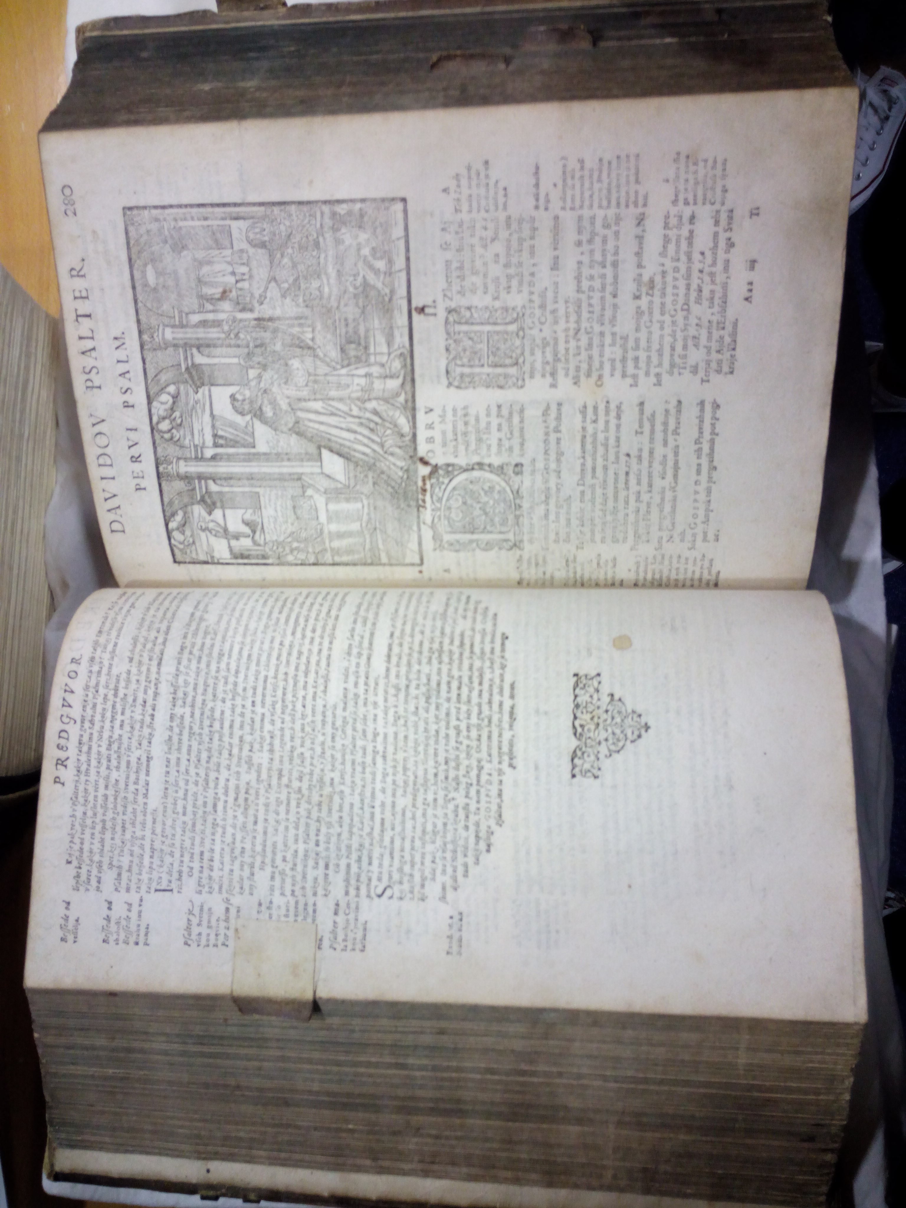 RAZVOJ SLOVENSKEGA JEZIKA on emaze