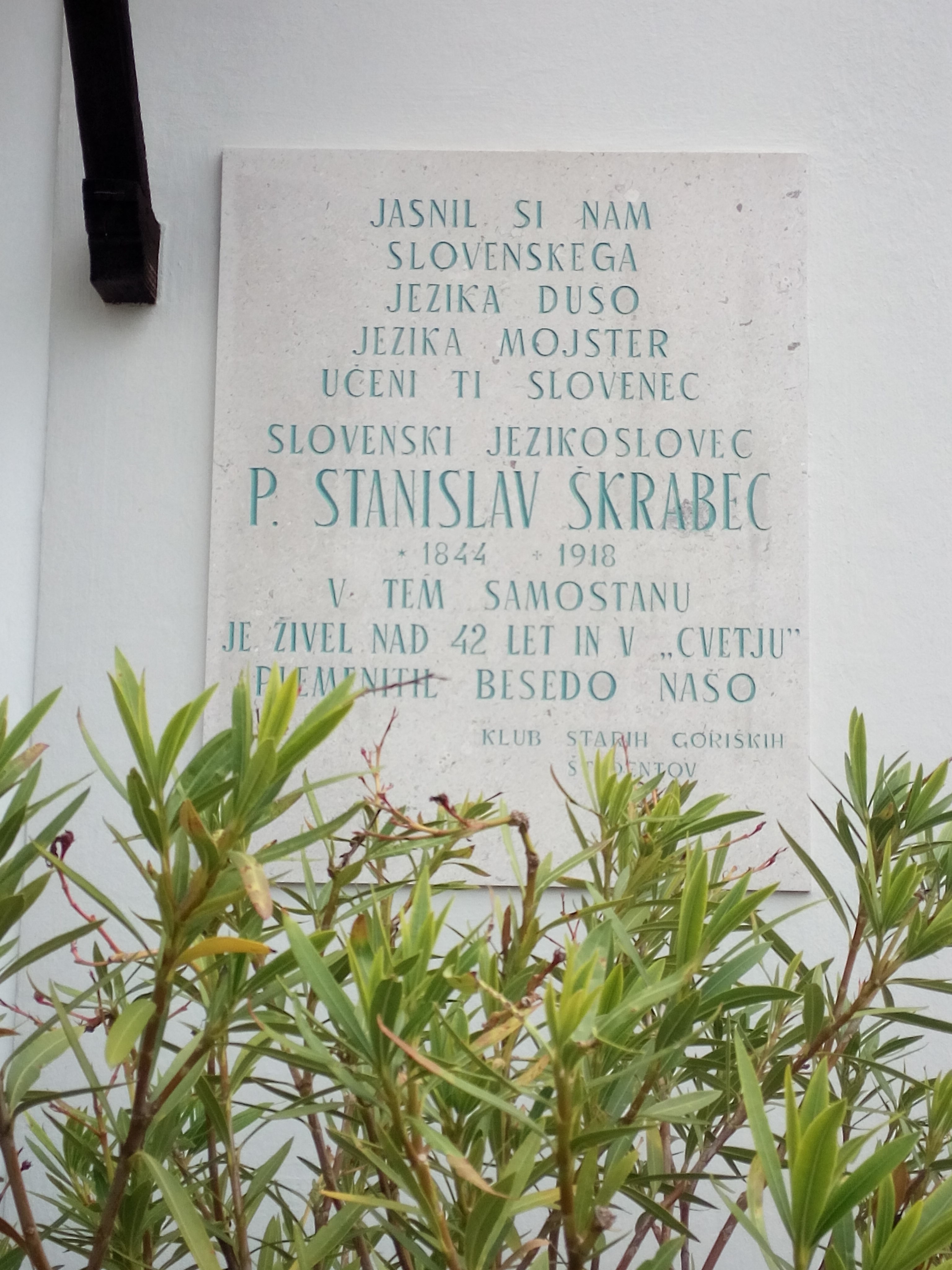 RAZVOJ SLOVENSKEGA JEZIKA on emaze