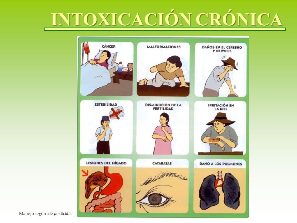 Presentation Name copy1 at emaze Presentation