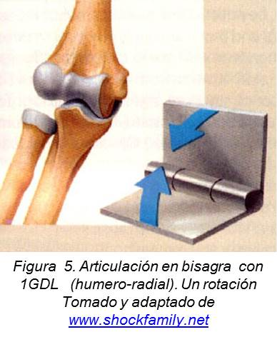 Introducción a la artrologia on emaze