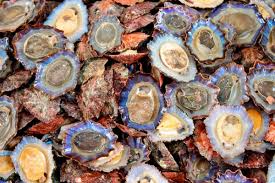 Paralytic Shellfish Poisoning on emaze