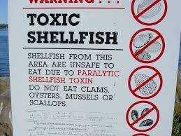 Paralytic Shellfish Poisoning on emaze