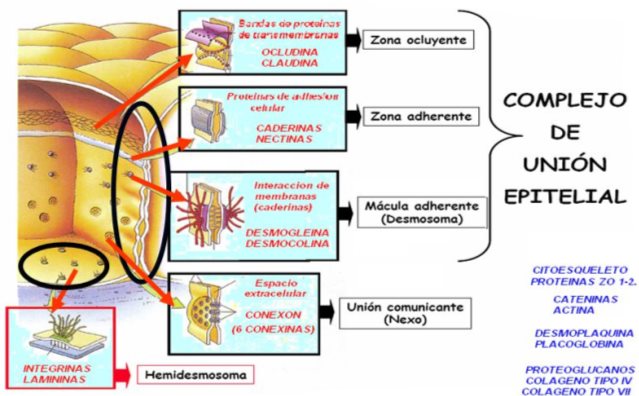 Presentation Name at emaze Presentation