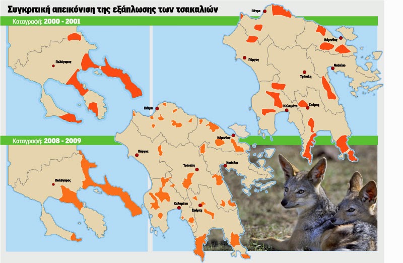 Tsakali - Jackal at emaze Presentation