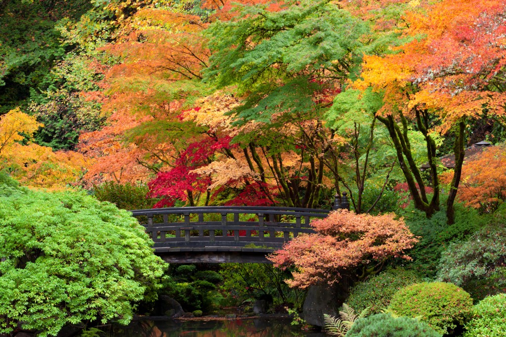 I see... at emaze Presentation