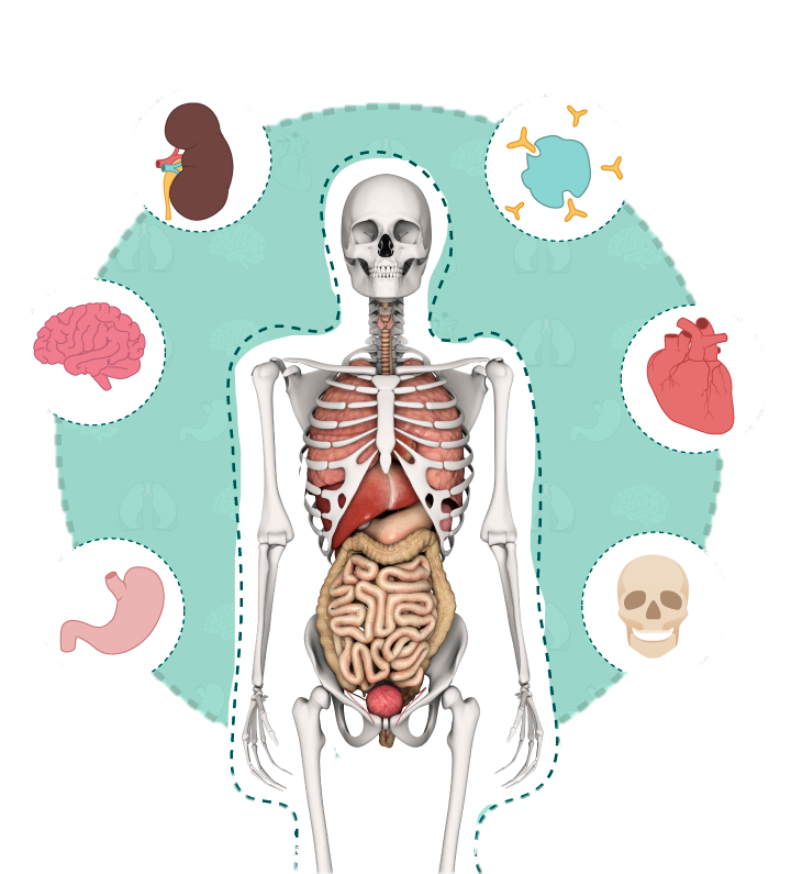 Teoría Organicista at emaze Presentation