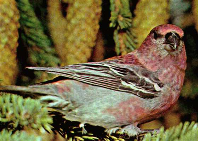 Under the Sea at emaze Presentation