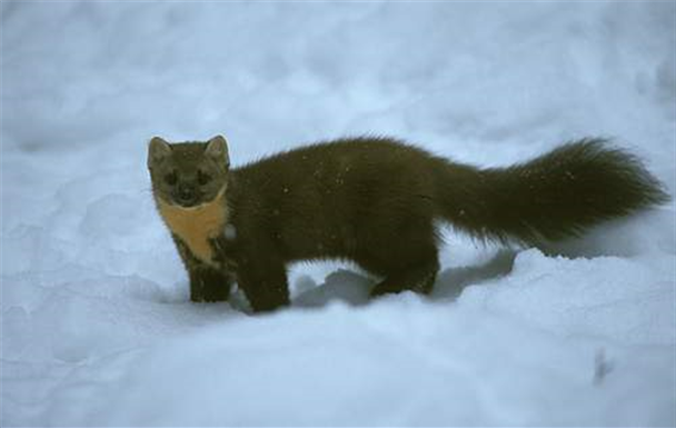 Under the Sea at emaze Presentation