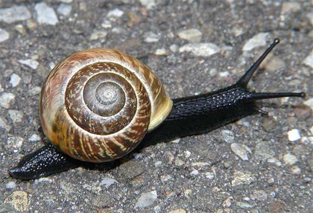 Under the Sea at emaze Presentation