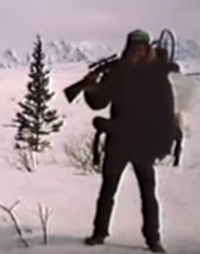 Into the Wild Creative Timeline Project on emaze