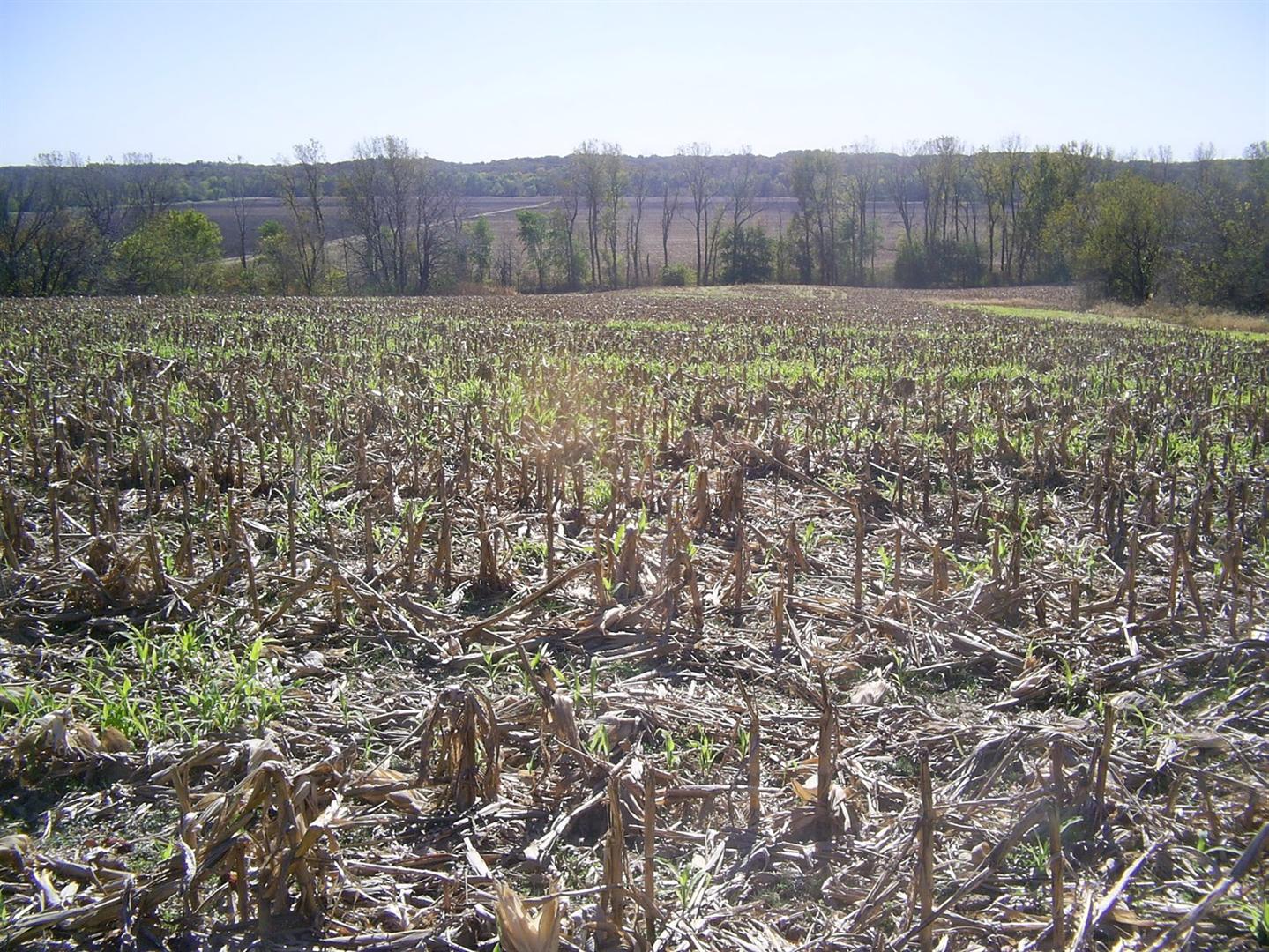 Zagadjivanje i zastita zemljista at emaze Presentation