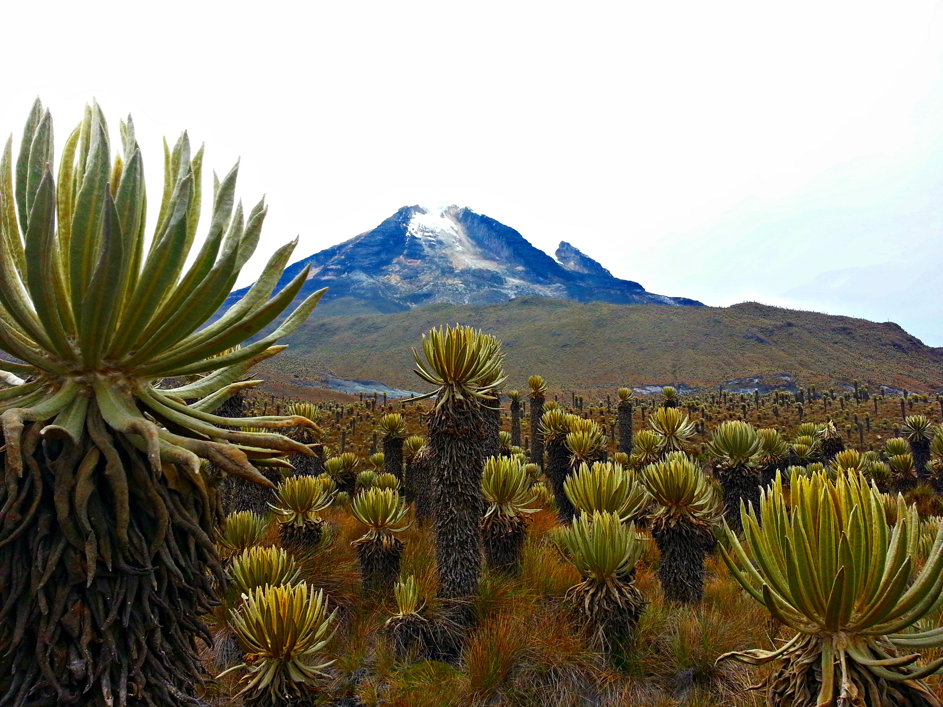 DÍA del tolima at emaze Presentation