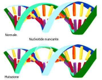 La genetica on emaze