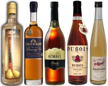 Alcoholic at emaze Presentation