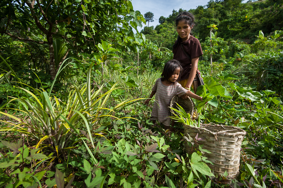 Indigenous Group Palawan and Mindoro on emaze