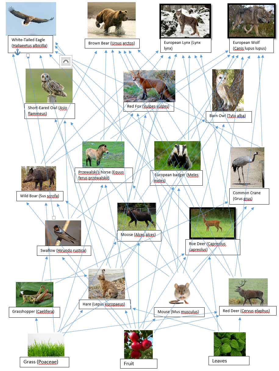Chernobyl Nuclear Disaster at emaze Presentation