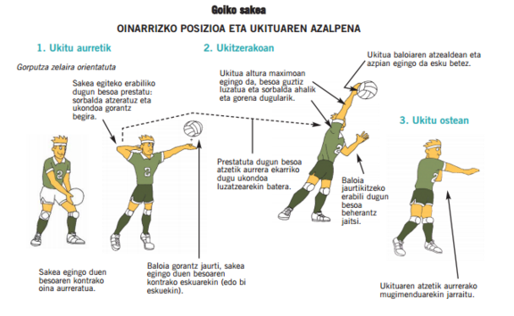 BOLEIBOLA at emaze Presentation
