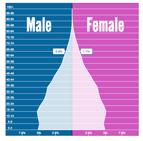 Rio de Janerio on emaze