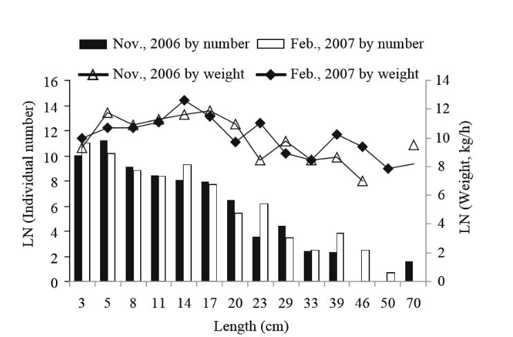 OVERFISHING PHENOMENON IN THE EAST CHINA SEA on emaze