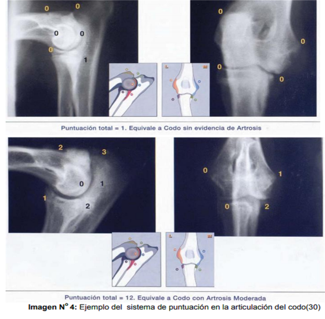 Slides at emaze Presentation