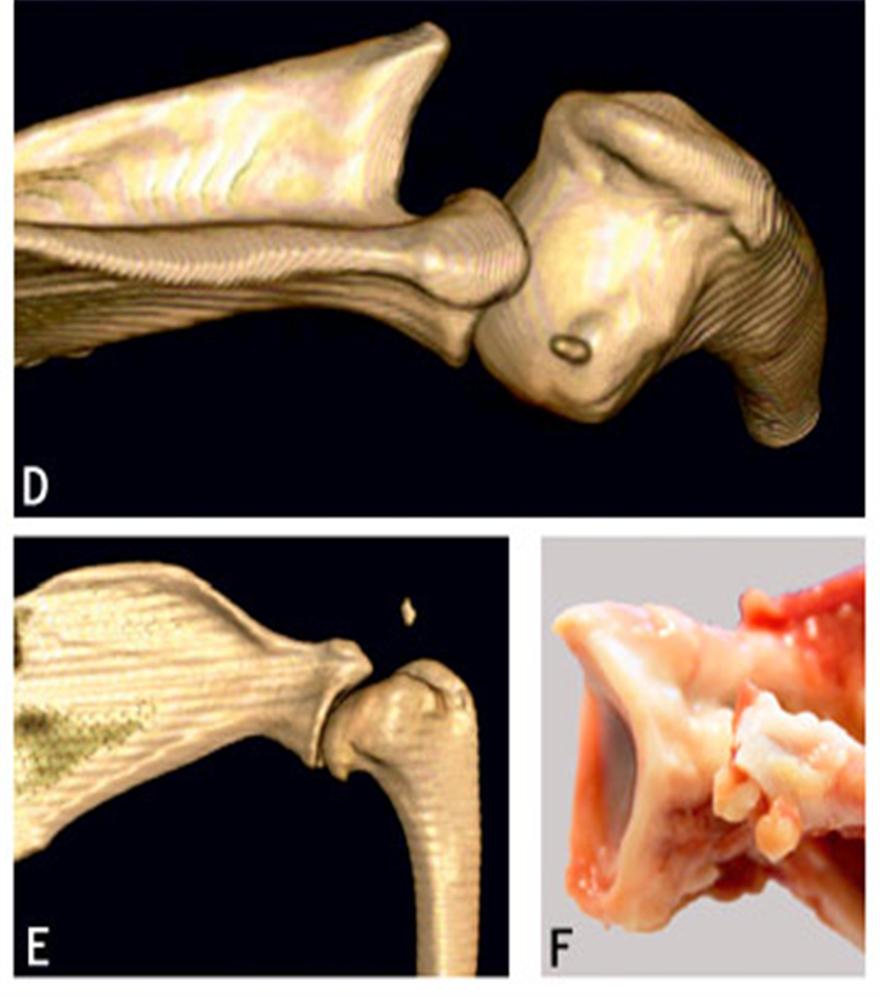 Slides at emaze Presentation