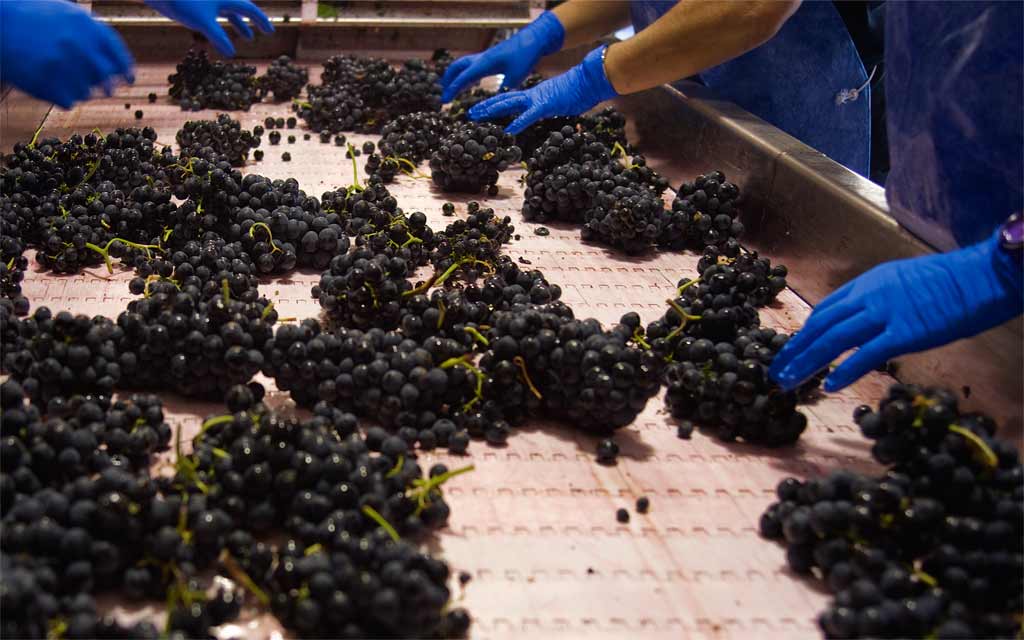 ACTIVIDADES ECONÓMICAS DE LA REGIÓN DE CUYO on emaze