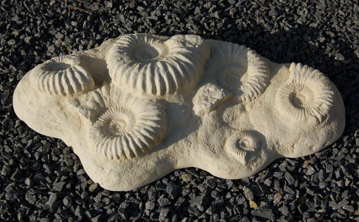 Cast Fossils at emaze Presentation