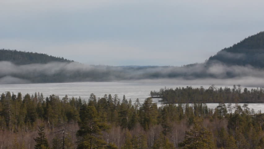 Taiga, Sweden Ecosystem at emaze Presentation