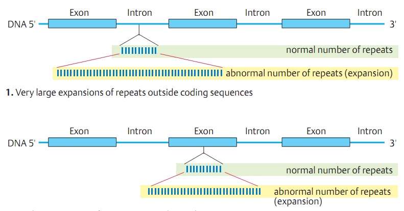 Medical Genetics3.pptx on emaze