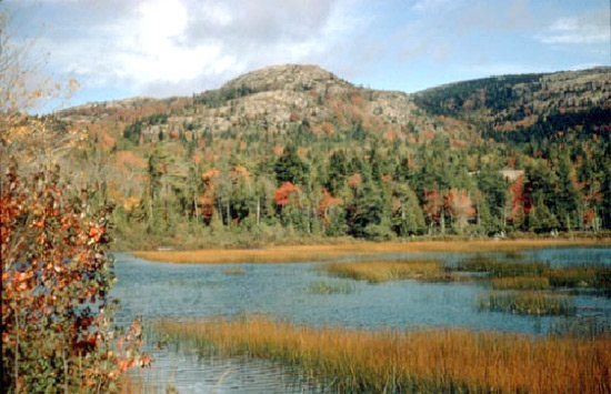 at emaze Presentation