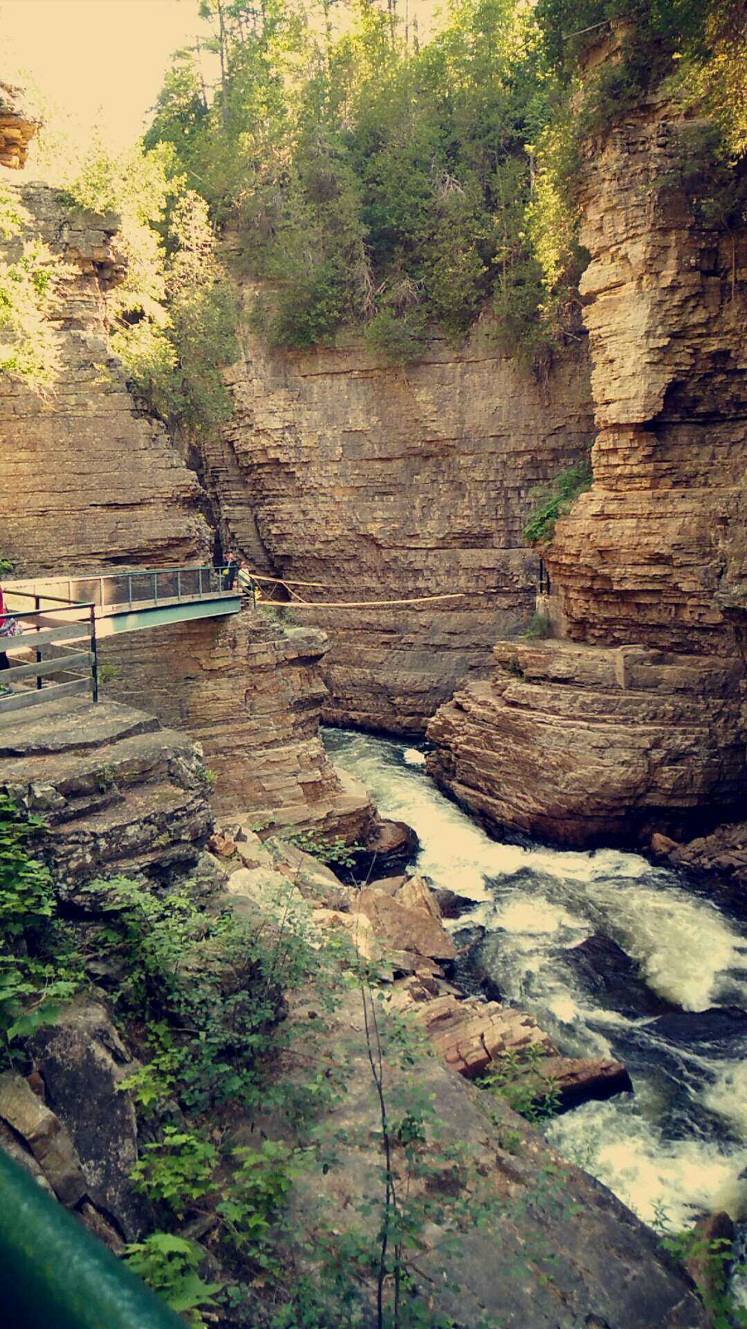 DHRITI MEHTA at emaze Presentation