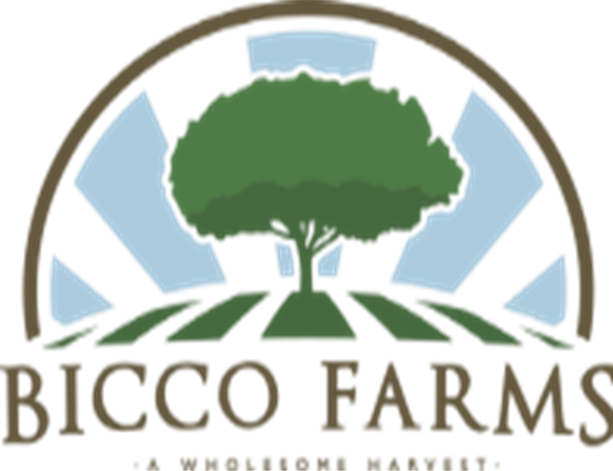 Wall Street at emaze Presentation