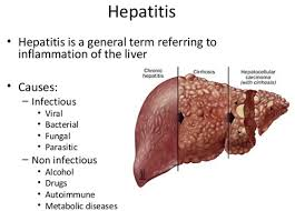 COLURIA at emaze Presentation