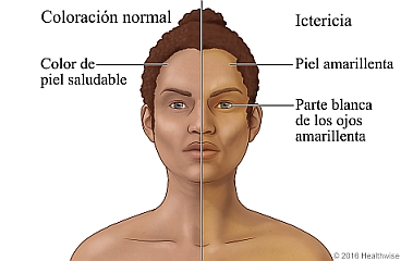 COLURIA at emaze Presentation