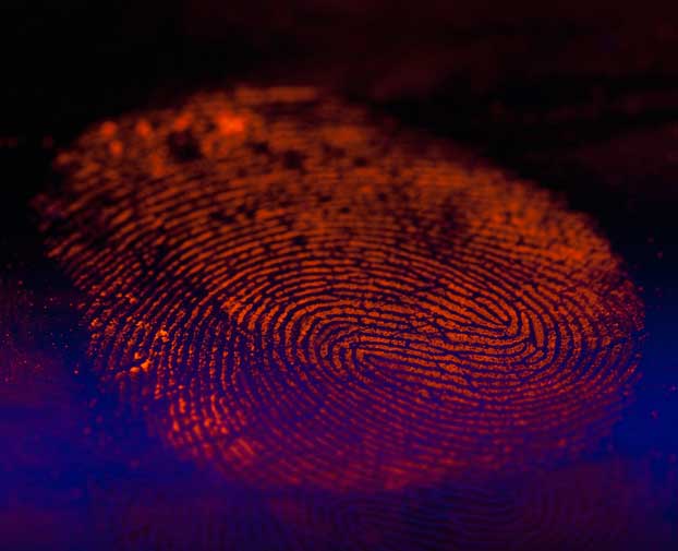 FINGERPRINTS On Emaze fingerprints-on-emaze