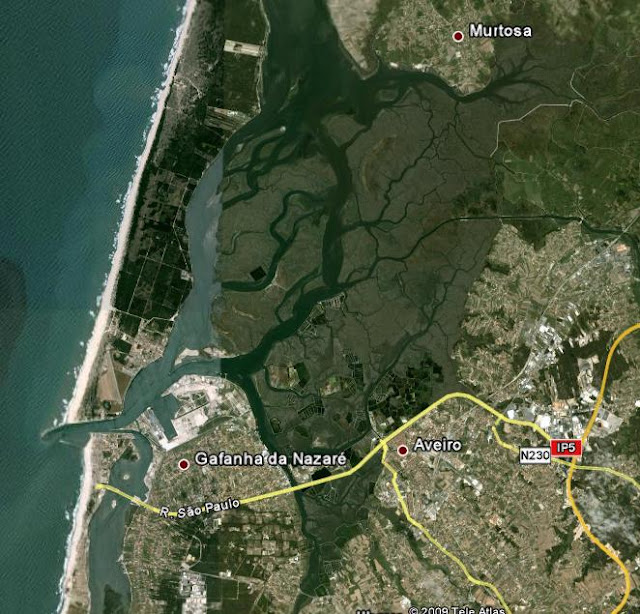 Acidentes do litoral português at emaze Presentation