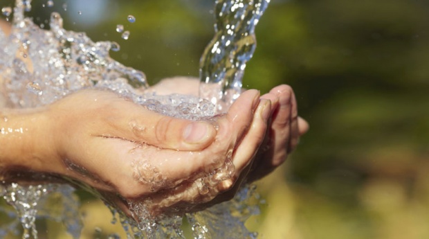 VODA. ZNACAJ VODE ZA ZIVI SVET. on emaze