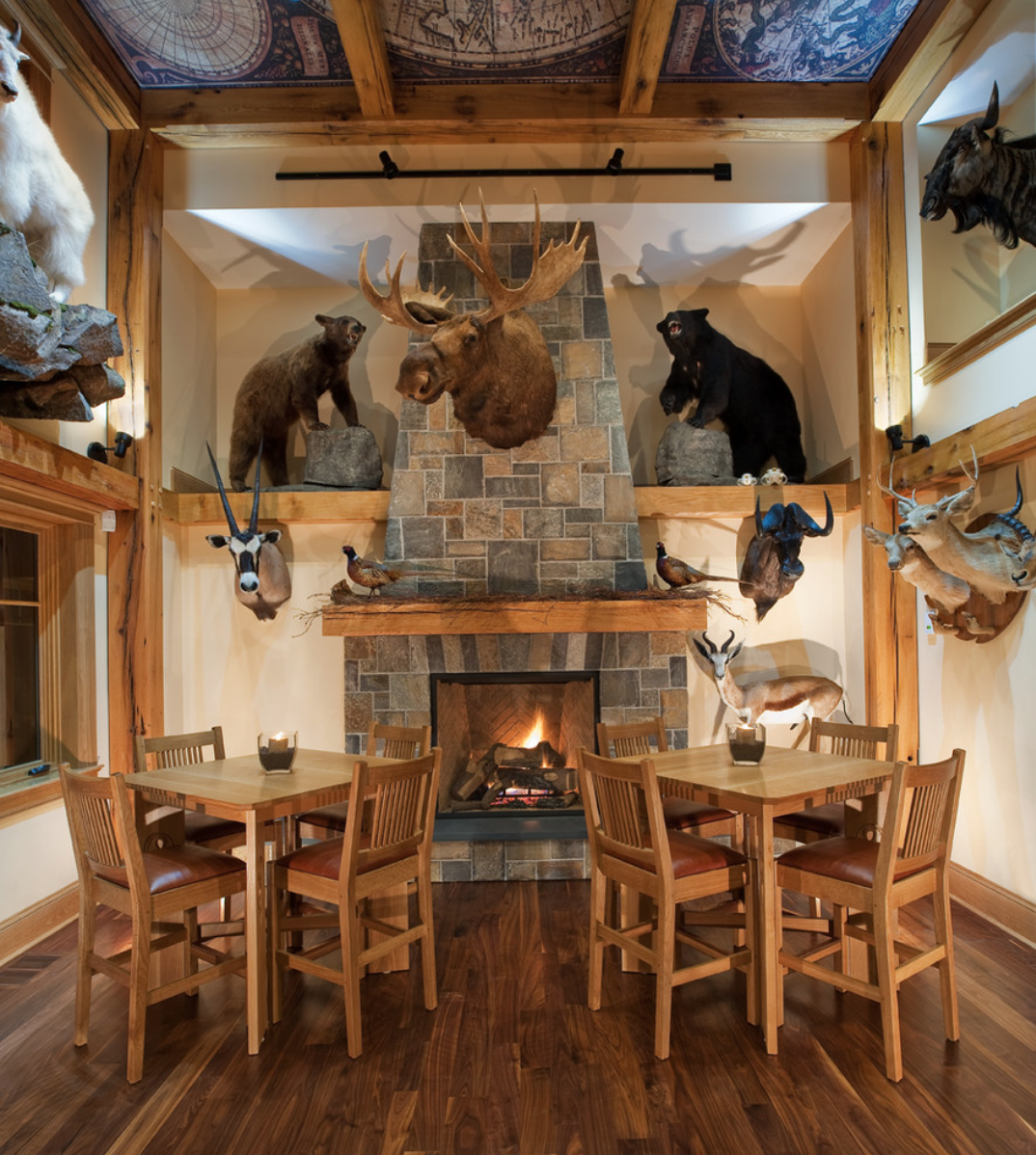 Animals in Interior Design at emaze Presentation