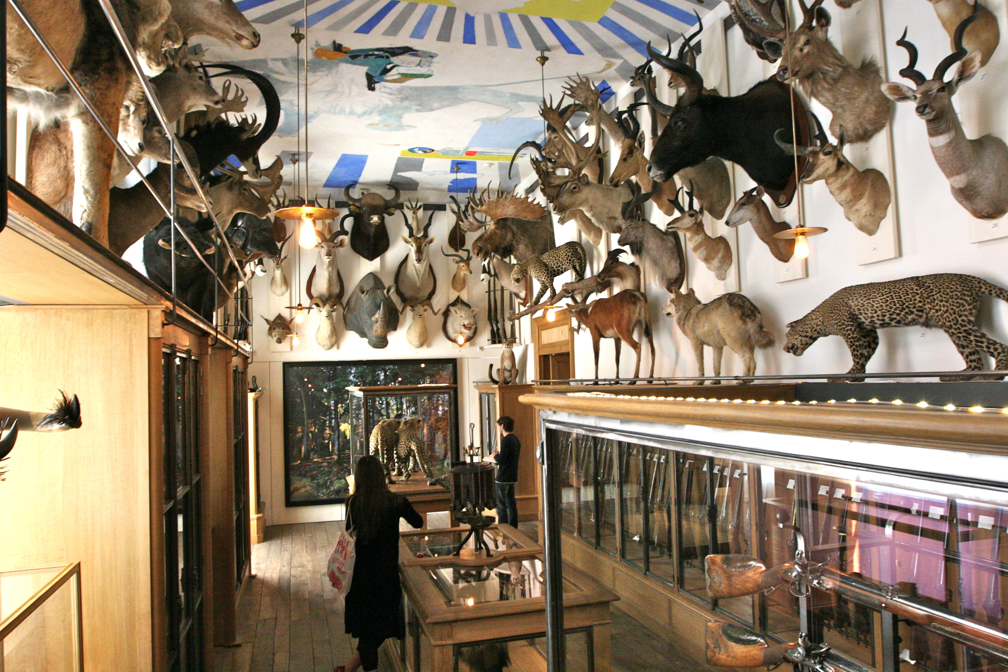 Animals in Interior Design at emaze Presentation