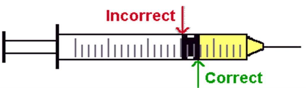 Under the Sea on emaze