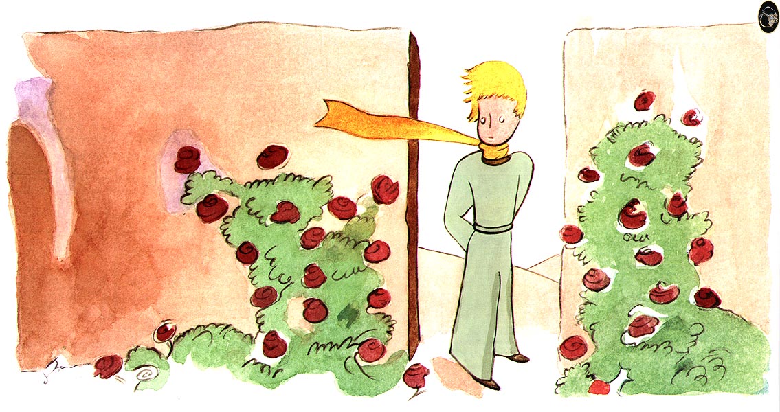 What Do The Thorns Represent In The Little Prince at Jerry Cook blog