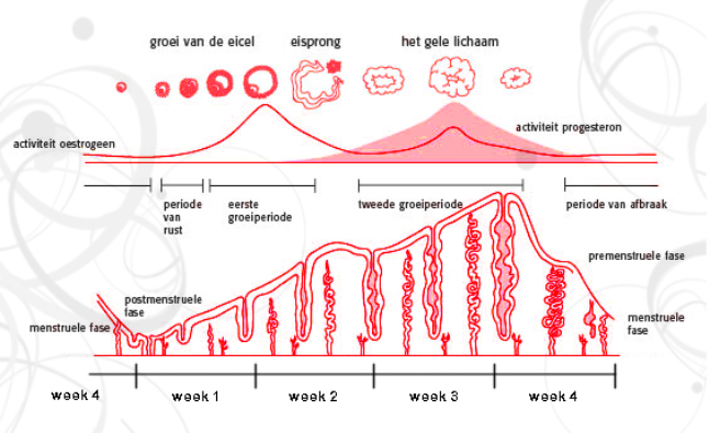 Presentation Name at emaze Presentation