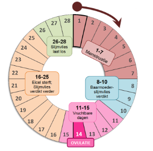 Presentation Name on emaze