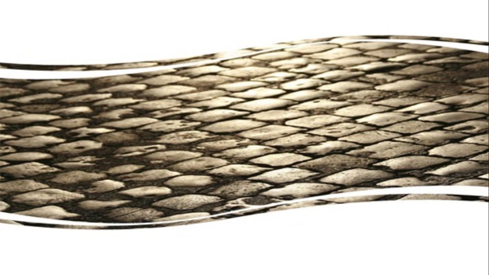 Paving North East – Advantages Of Block Paving at emaze Presentation