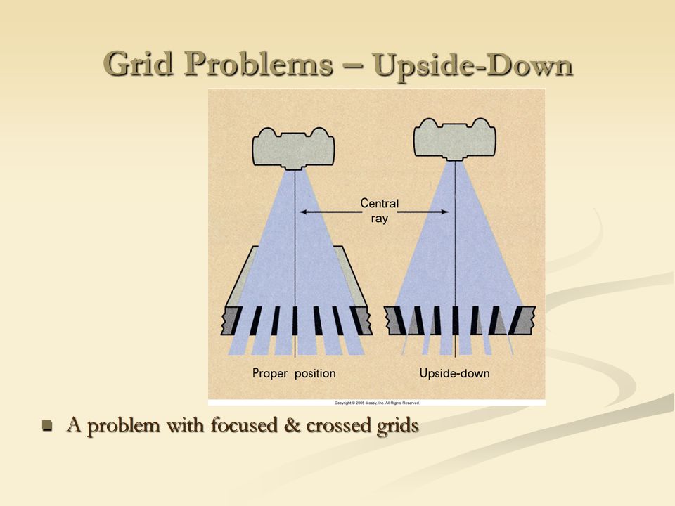 THE GRID at emaze Presentation