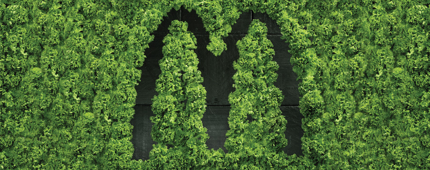 mcdonalds csr at emaze Presentation