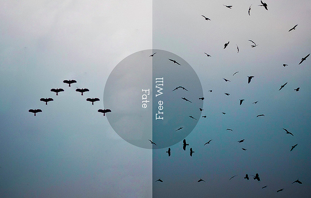 Fate vs Free Will at emaze Presentation
