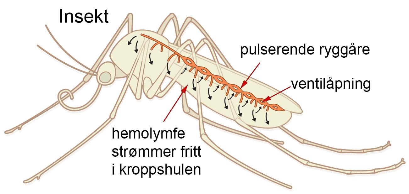Biologi on emaze