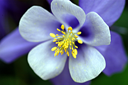 colorado at emaze Presentation